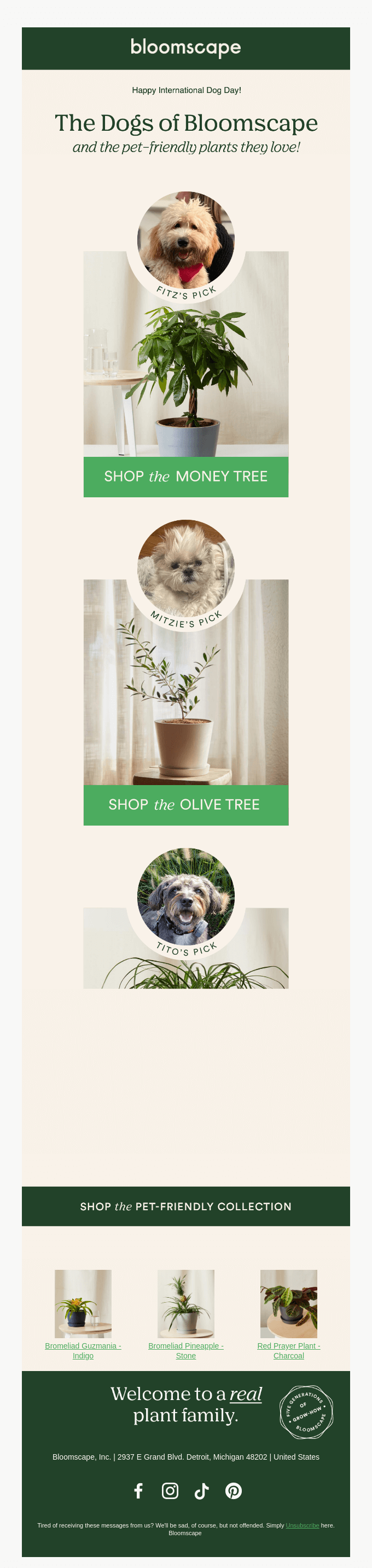 Happy International Dog Day from bloomscape - Desktop Email View | Really Good Emails