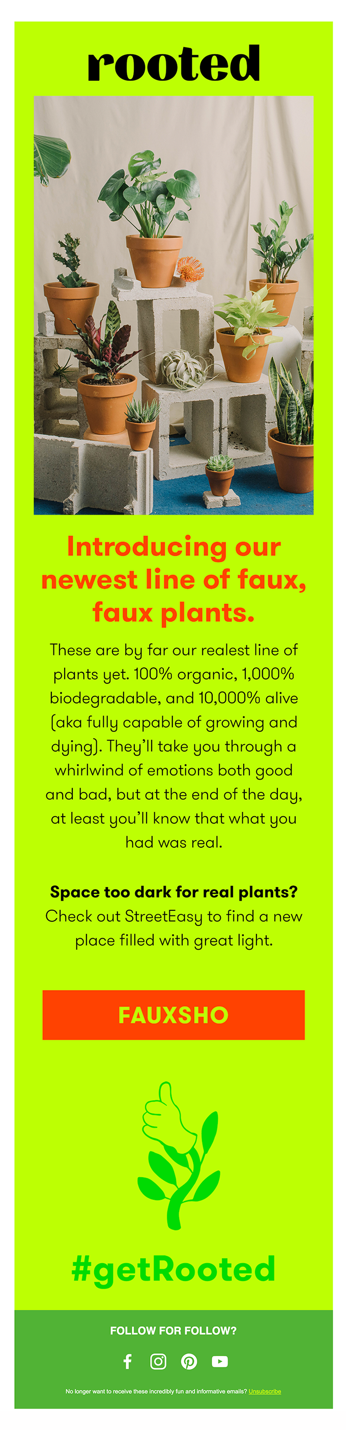 Introducing our NEW line of faux faux plants 🌱 from Rooted NYC ...