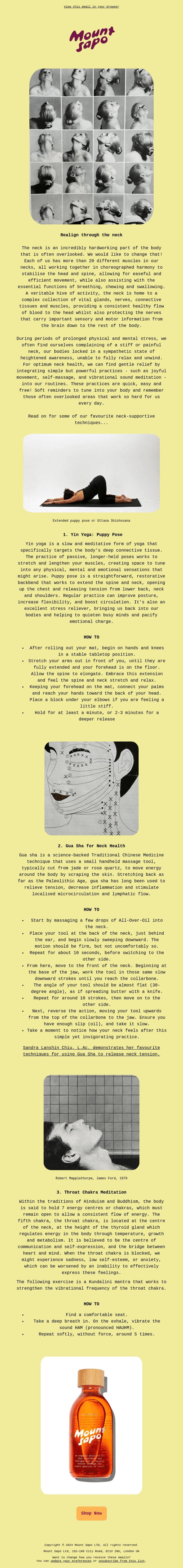 Realign Your Body Through The Neck from Mount Sapo - Desktop Email View ... Realign Your Body Through The Neck from Mount Sapo - Desktop Email View ...