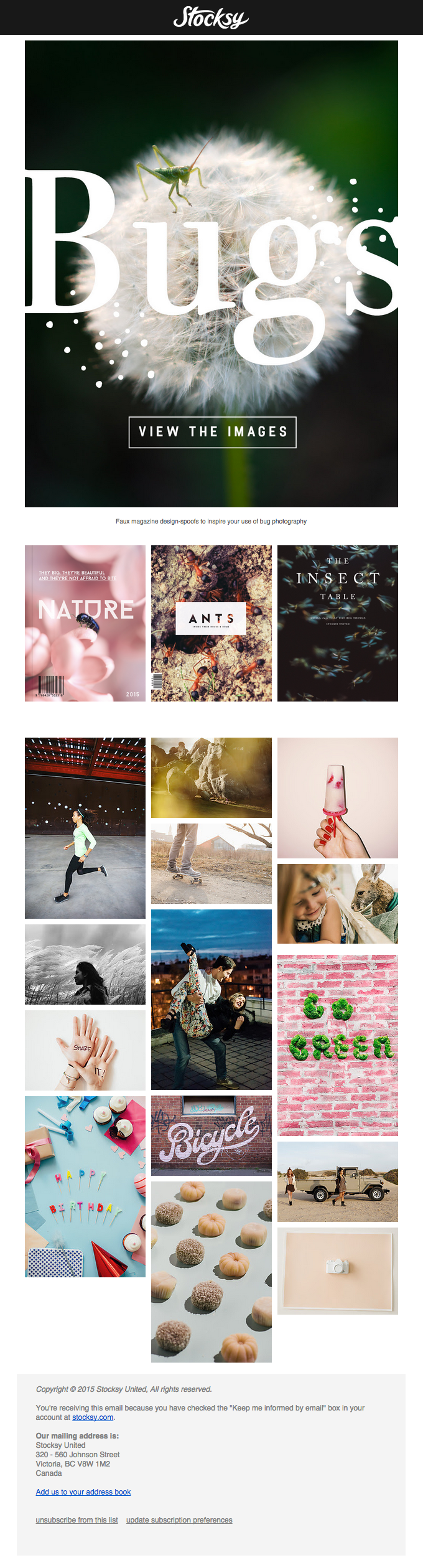 This Week In Cool: Bugs! from Stocksy - Desktop Email View | Really ...